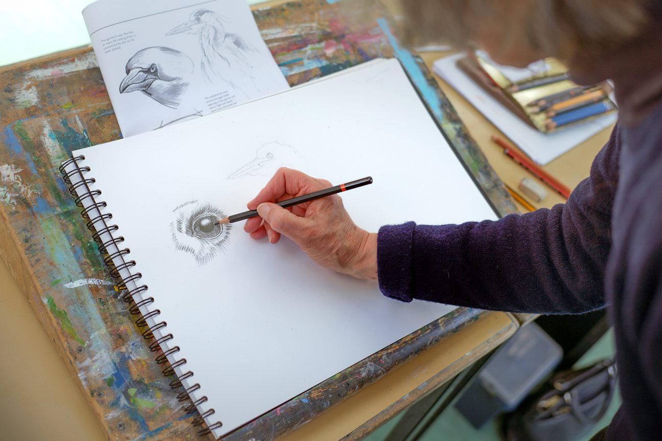 Drawing - Improvers - Course - Brockenhurst College